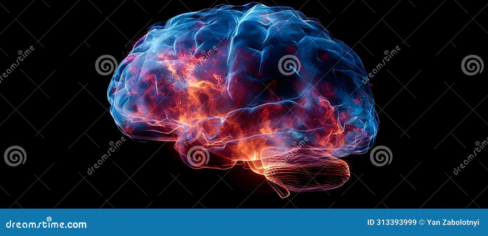 Exploring Neural Pathways and Neurological Functions through Brain Scan ...