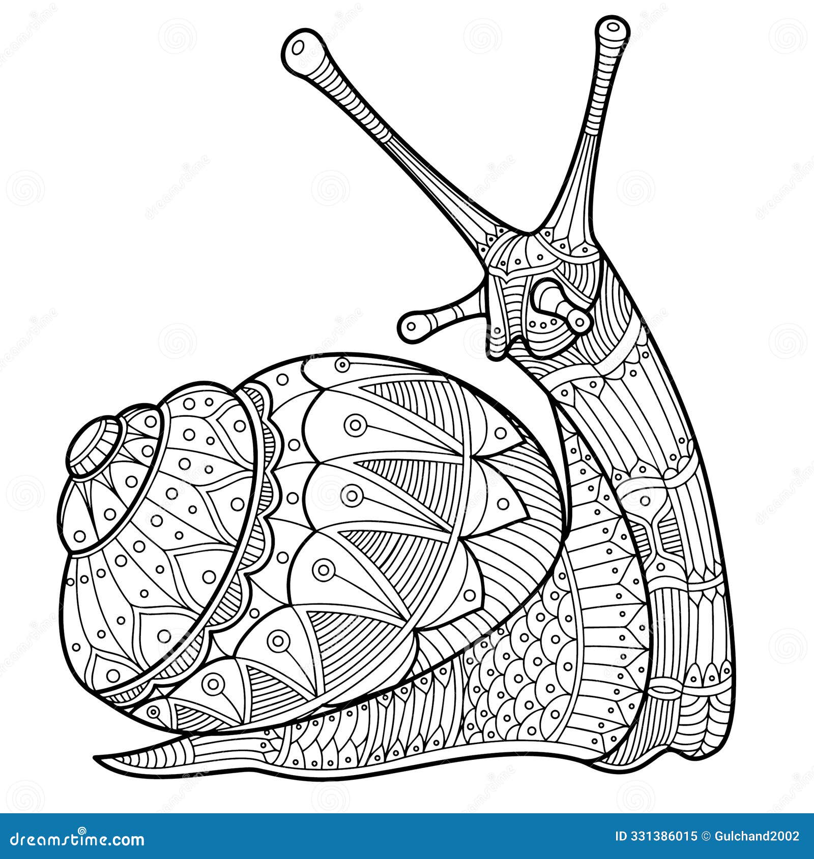 Exploring Patterns in a Snail Line Drawing Stock Illustration ...