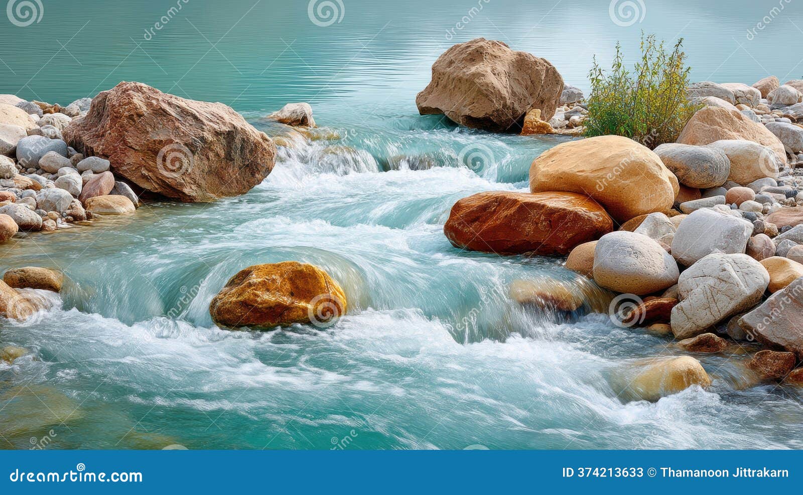 Exploring The River Ecosystem: Understanding The Impact Of Climate ...