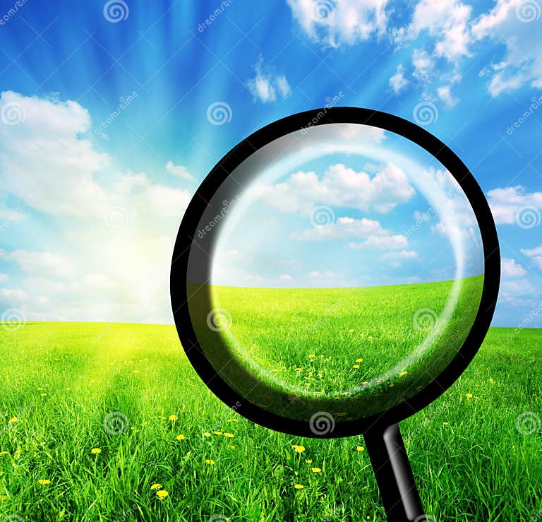 Exploring spring! stock image. Image of environment, clean - 8345009