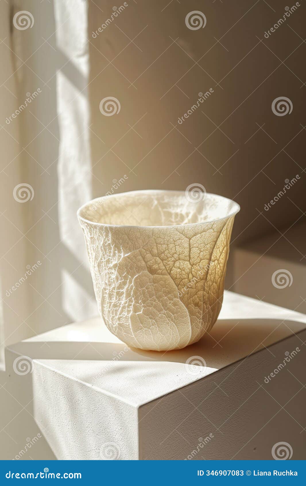 Exploring Sustainable Mycelium Packaging with a Biodegradable Container ...