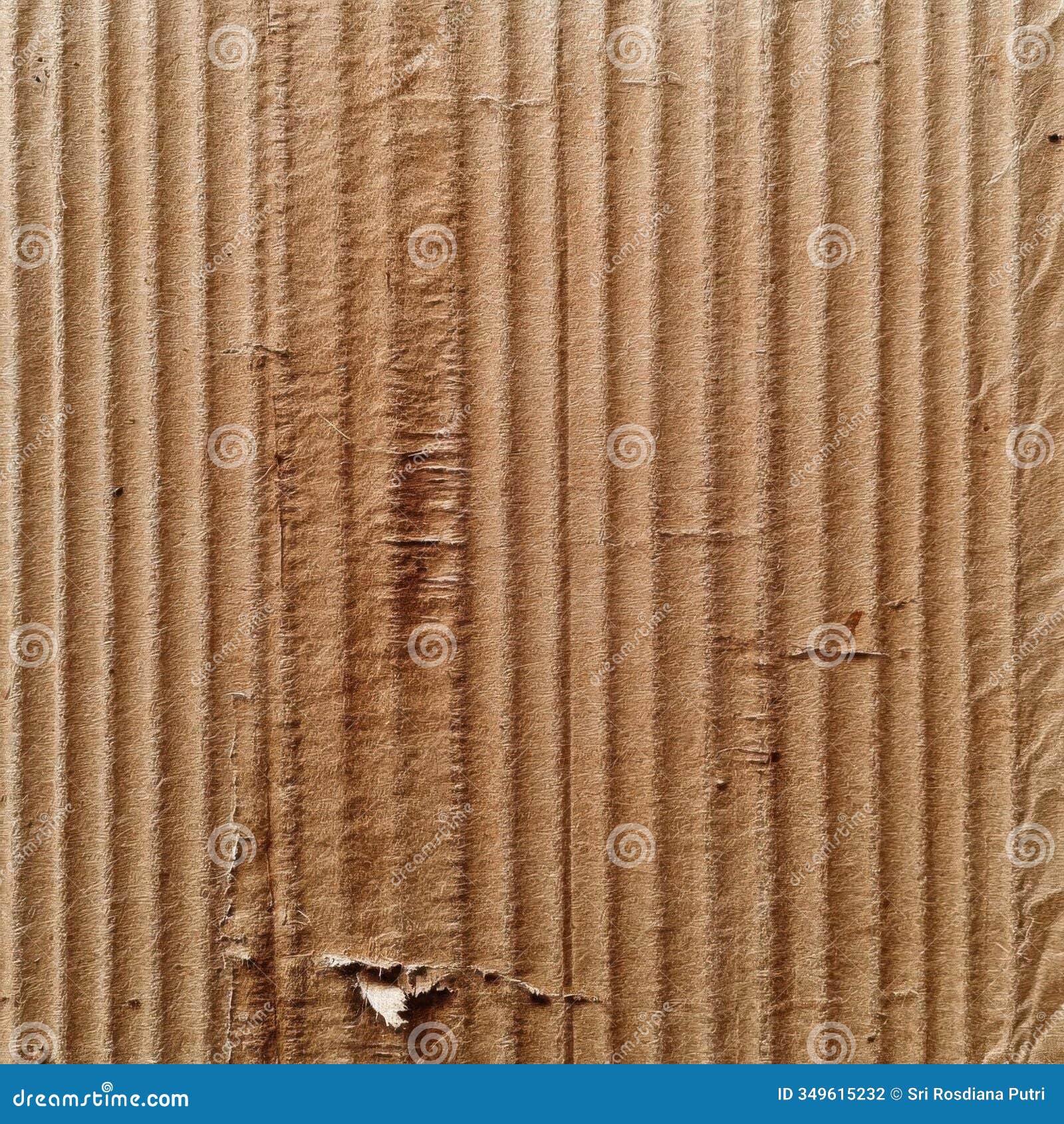 Exploring the Texture of Corrugated Cardboard Stock Illustration ...