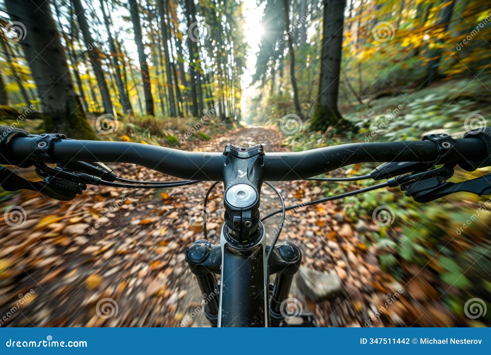 Exploring a Trail in the Forest on a Mountain Bike Stock Photo - Image ...
