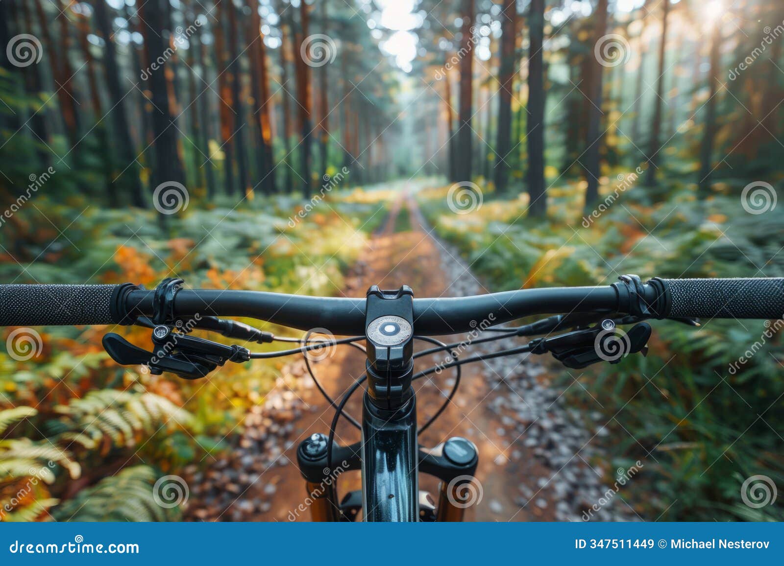 Exploring a Trail in the Forest on a Mountain Bike Stock Image - Image ...