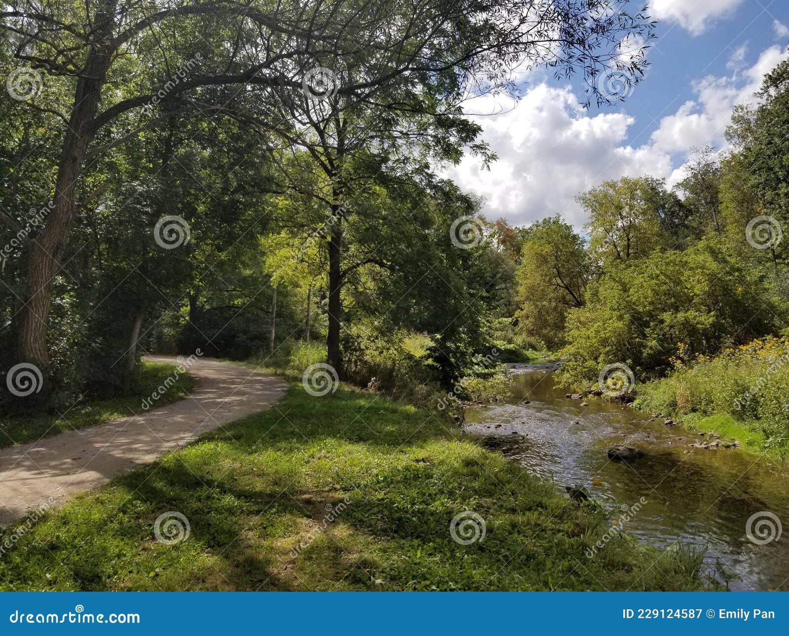 Exploring the Trails stock image. Image of pond, tree - 229124587