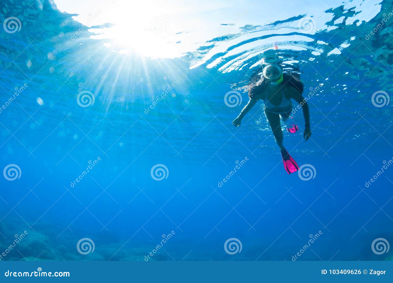 Exploring underwater stock photo. Image of happy, vacation - 103409626