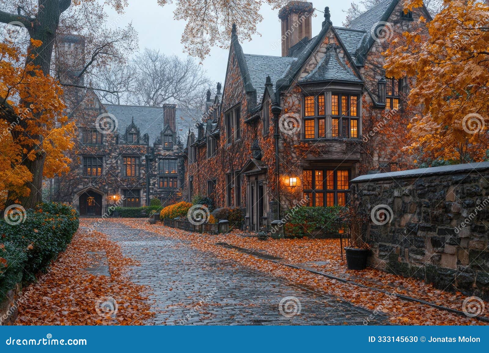 Exploring Yale University: a Journey through Its Stunning Stock ...