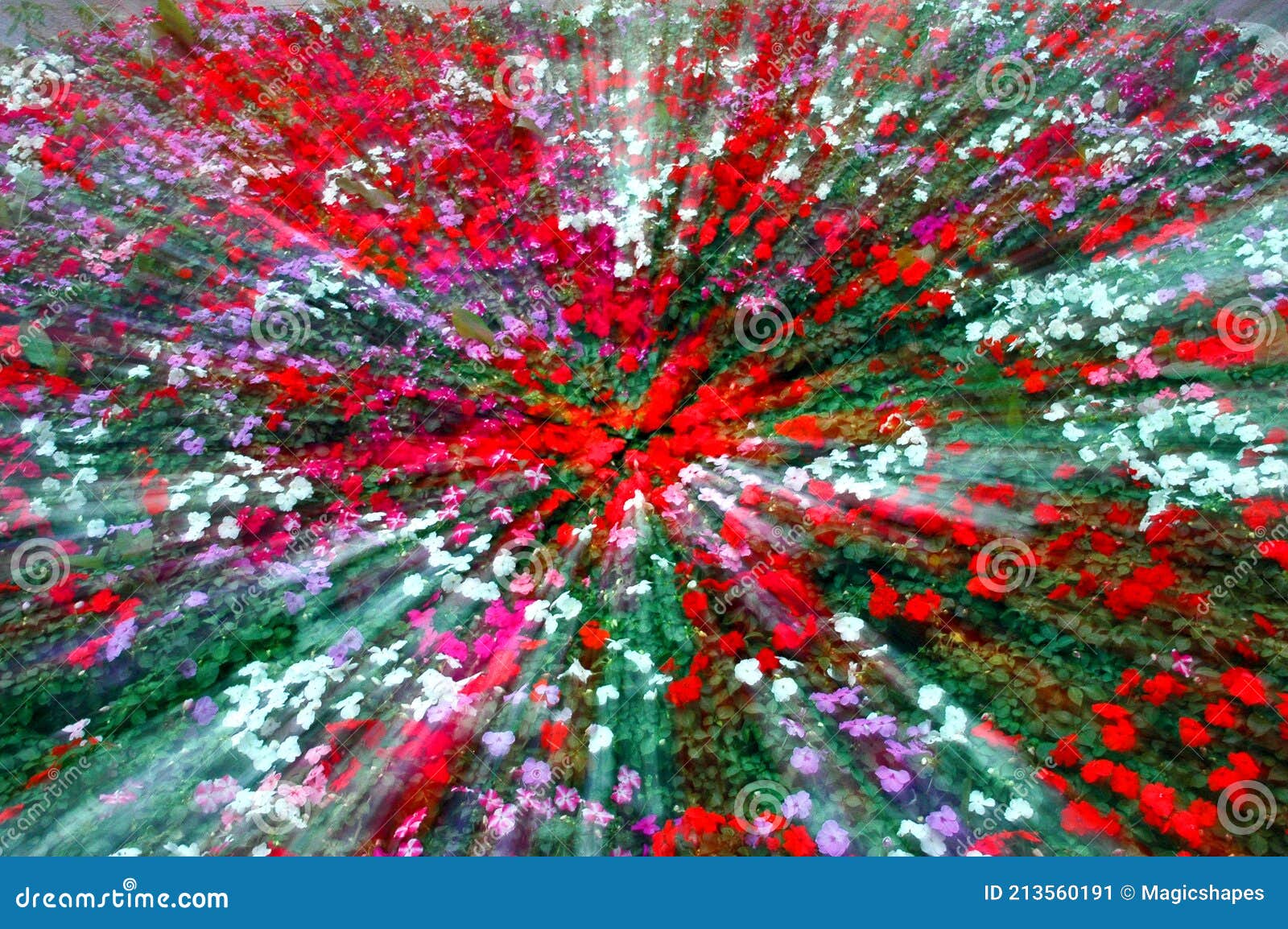 Explosion of Flowering Spring Stock Image - Image of element, butterfly ...