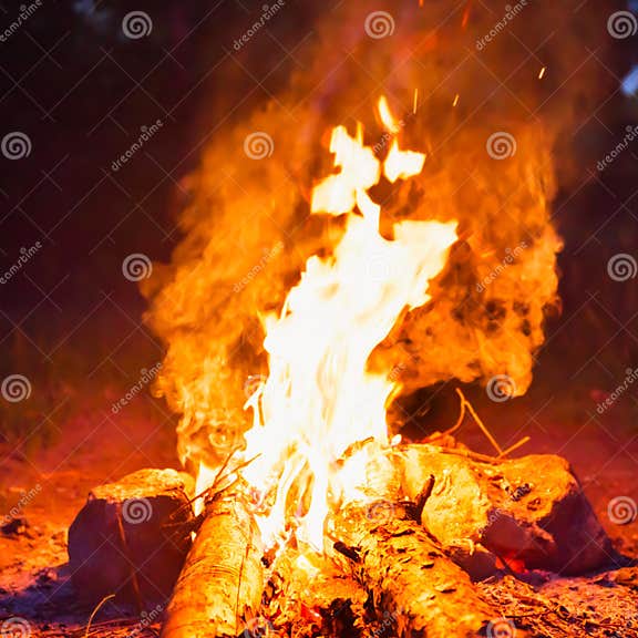 Explosion, Shell Fire in Forest Stock Image - Image of wood, firewood ...