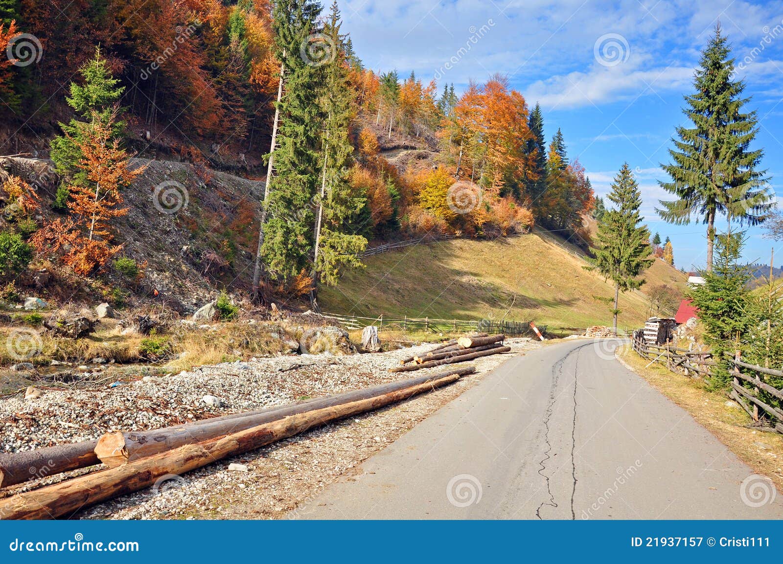 Explotación de madera imagen de archivo. Imagen de maderero - 21937157