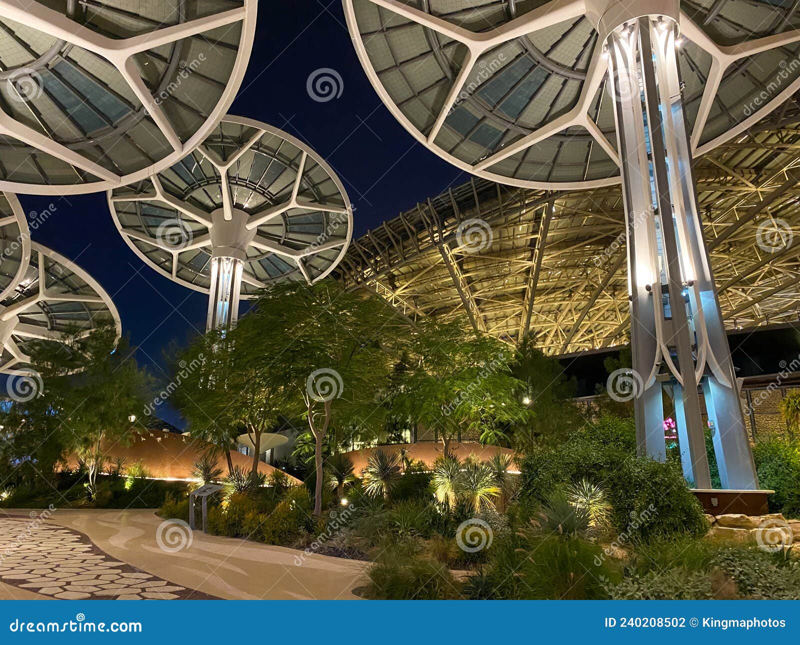 Expo 2020 Sustainability District Solar Panel Trees at Night Editorial ...
