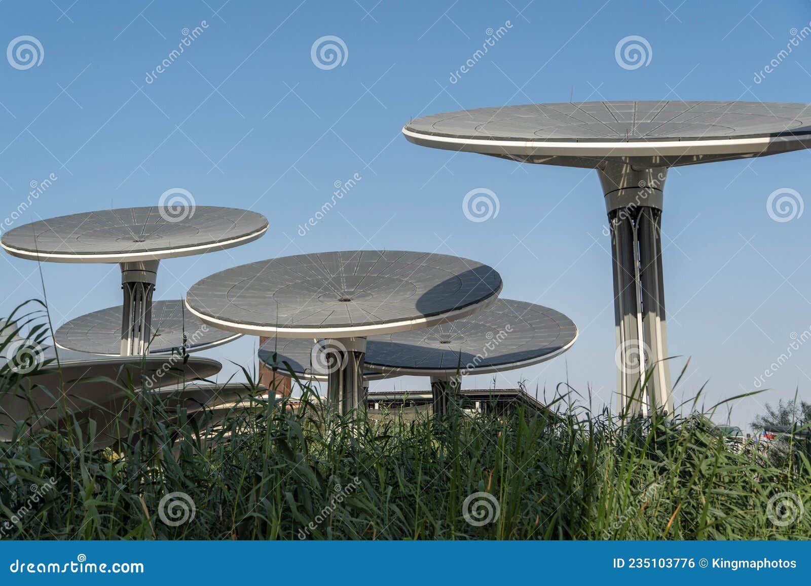 Expo 2020 Sustainability District Solar Panel Trees by Terra ...