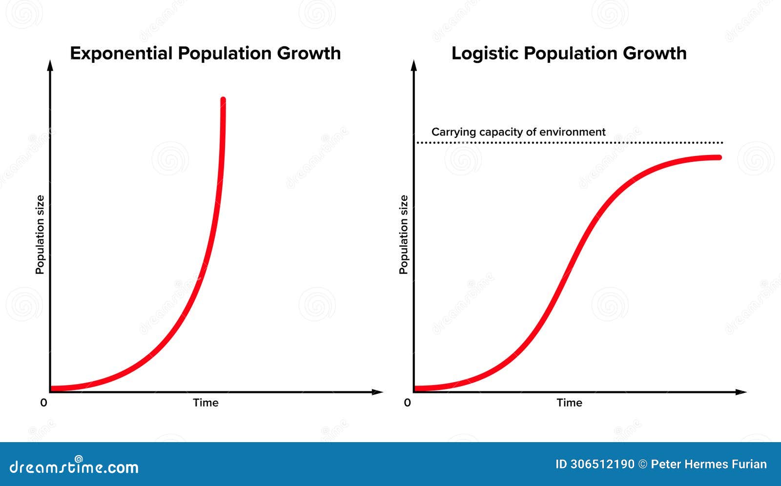 Exponential Versus Logistic Population Growth Stock Vector ... Exponential Versus Logistic Population Growth Stock Vector ...