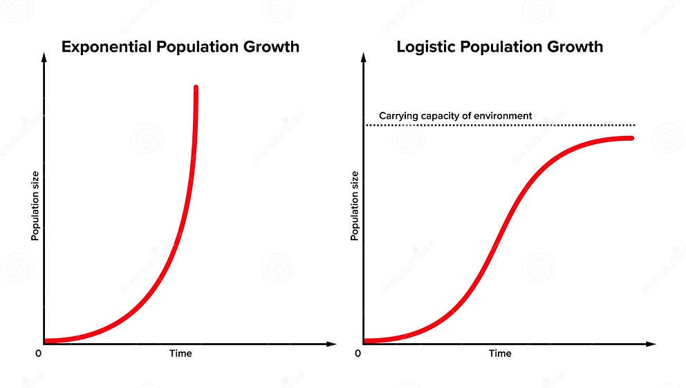 Exponential Versus Logistic Population Growth Stock Vector ...