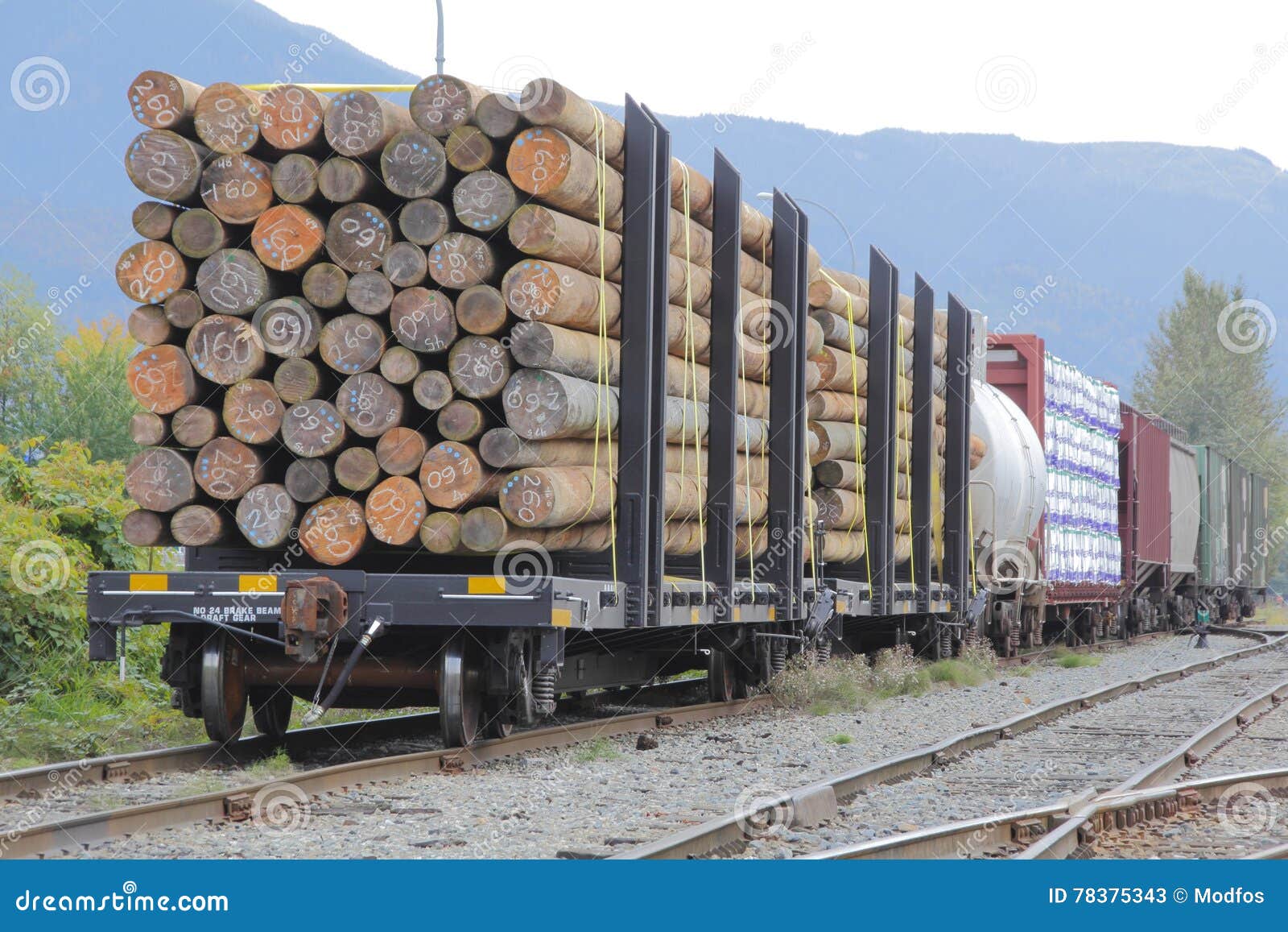 478 Processed Logs Stock Photos - Free & Royalty-Free Stock Photos from ...