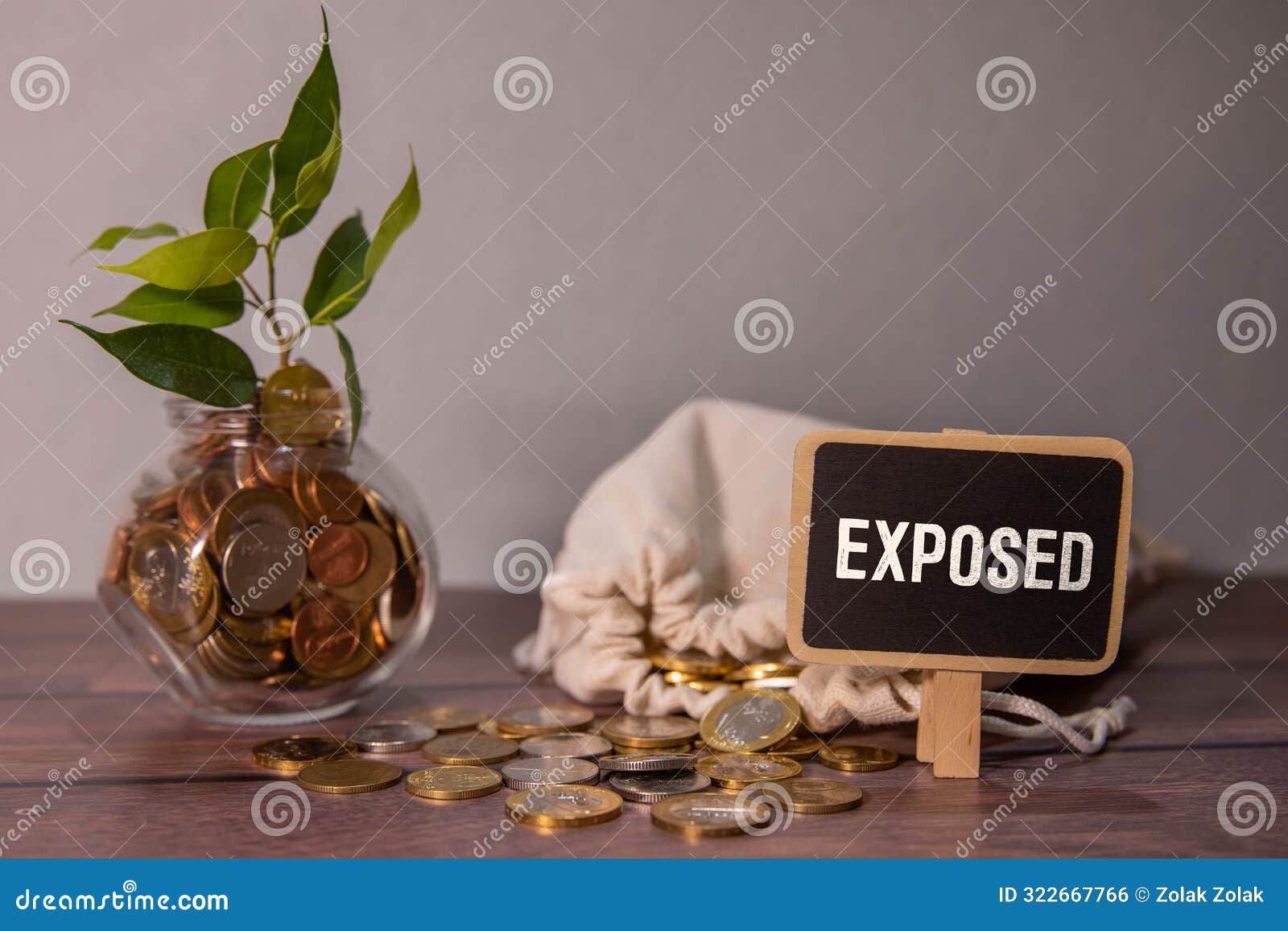 EXPOSE Word Made with Building Blocks. Stock Photo - Image of house ...