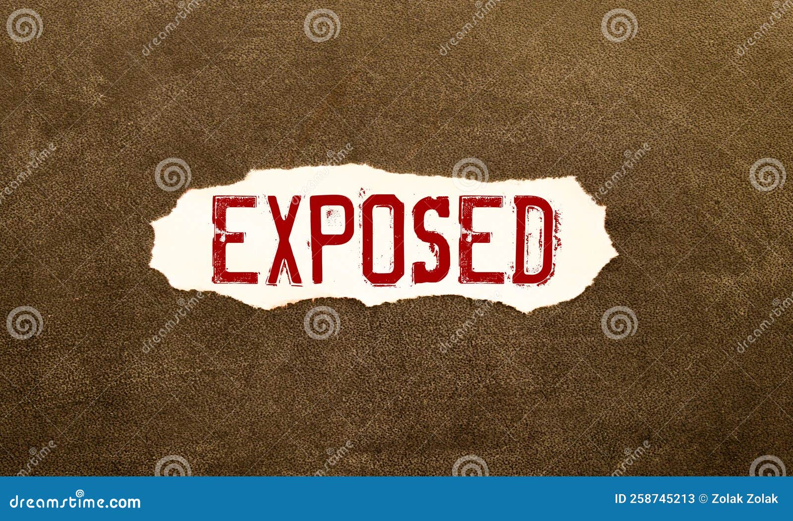 EXPOSE Word Made with White Torn Paper Stock Image - Image of ...