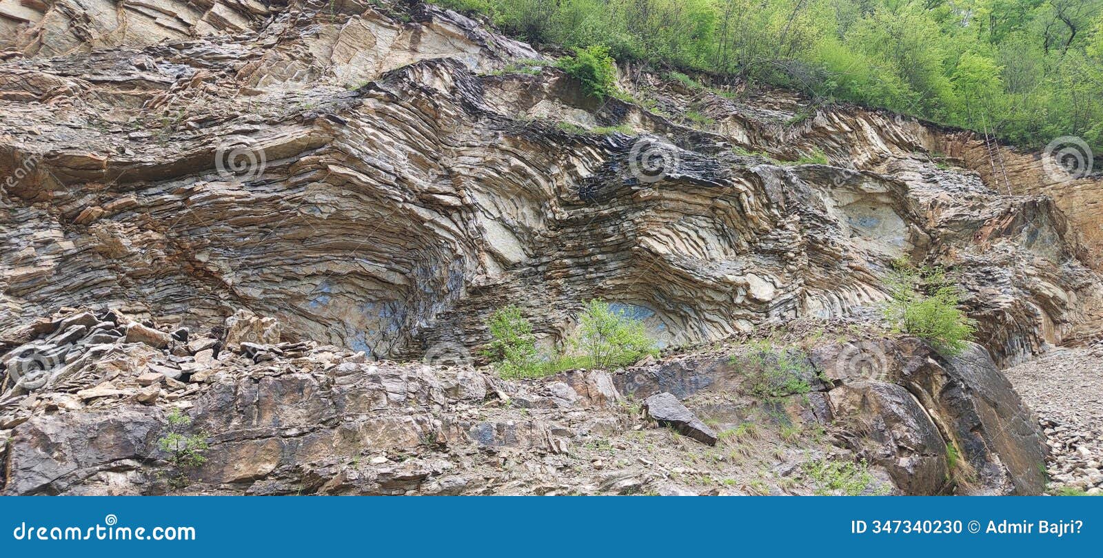 Exposed Folded Rock Layers in a Geological Notch Stock Photo - Image of ...