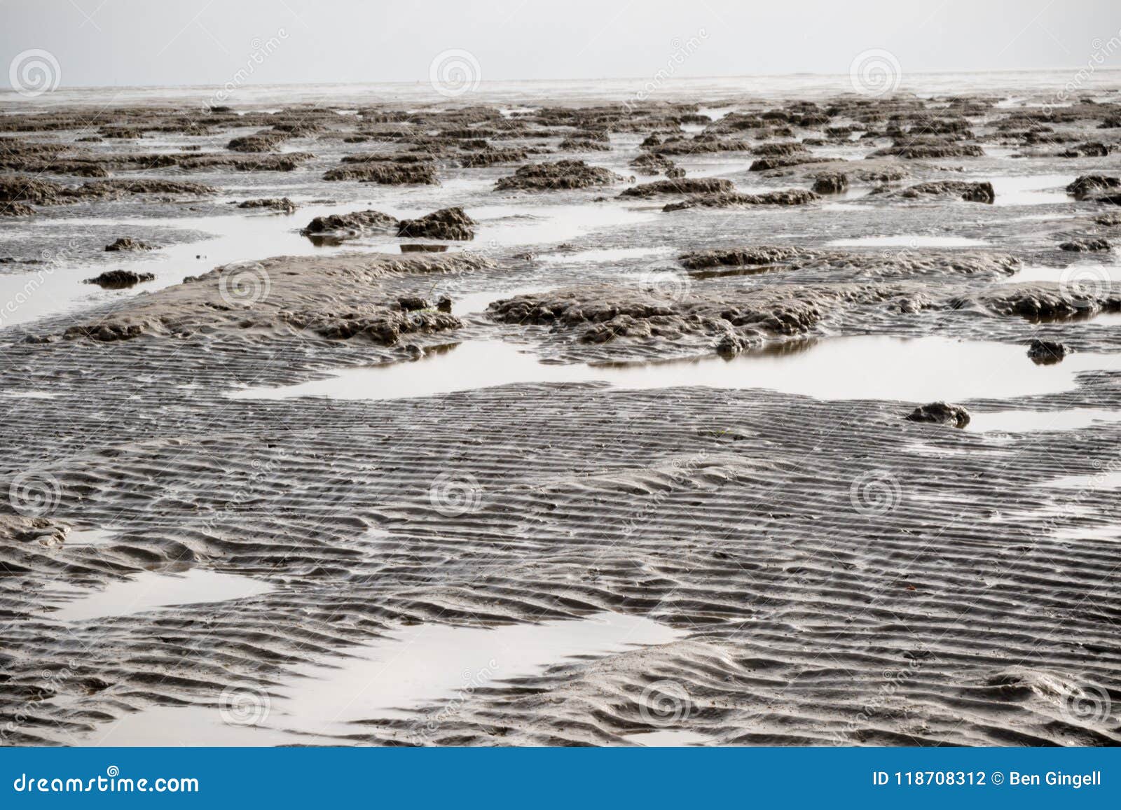 Mud Flats when the Tide is Out Stock Photo - Image of tides, isle ...