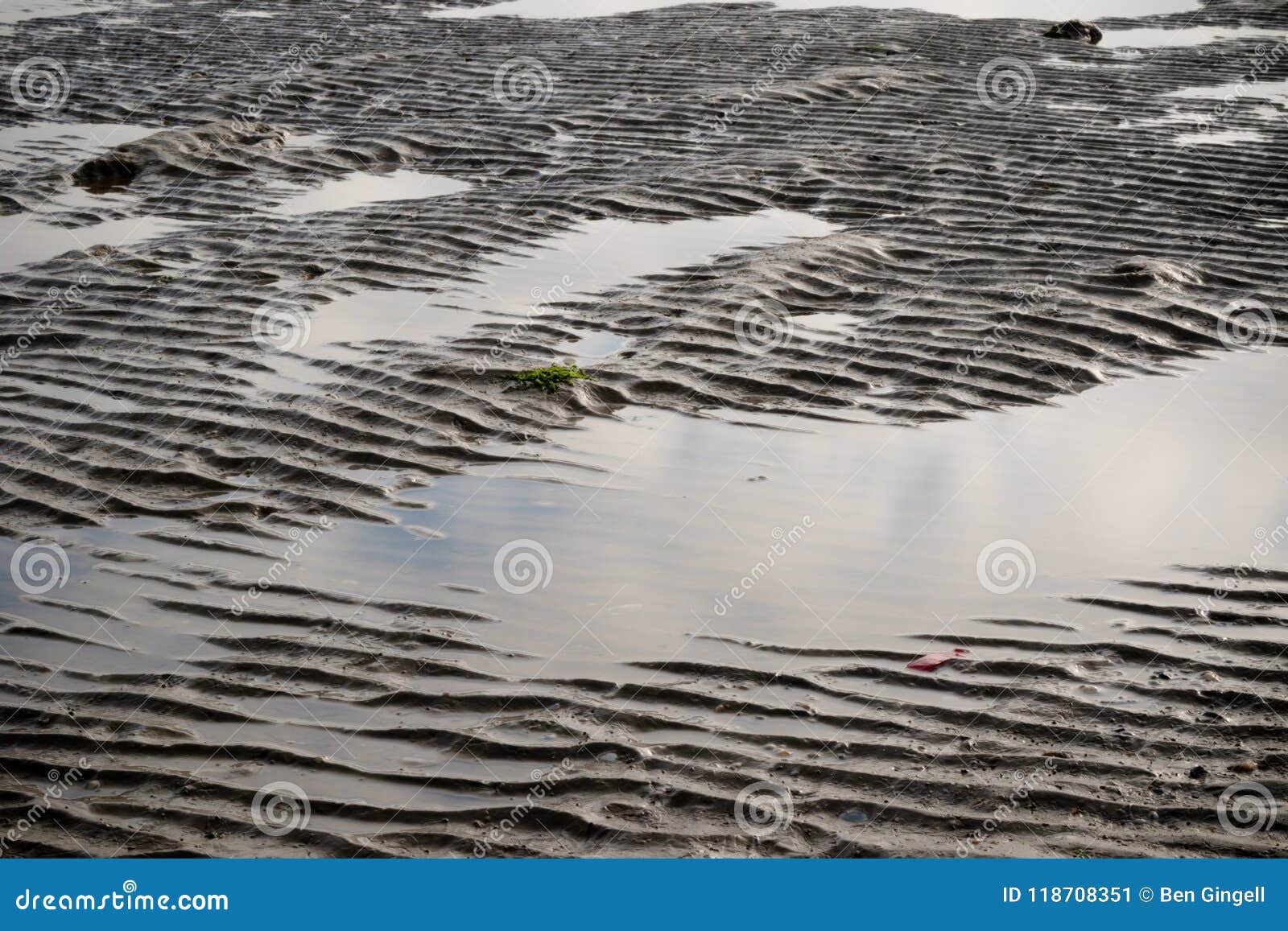 Mud Flats when the Tide is Out Stock Image - Image of water, coastal ...