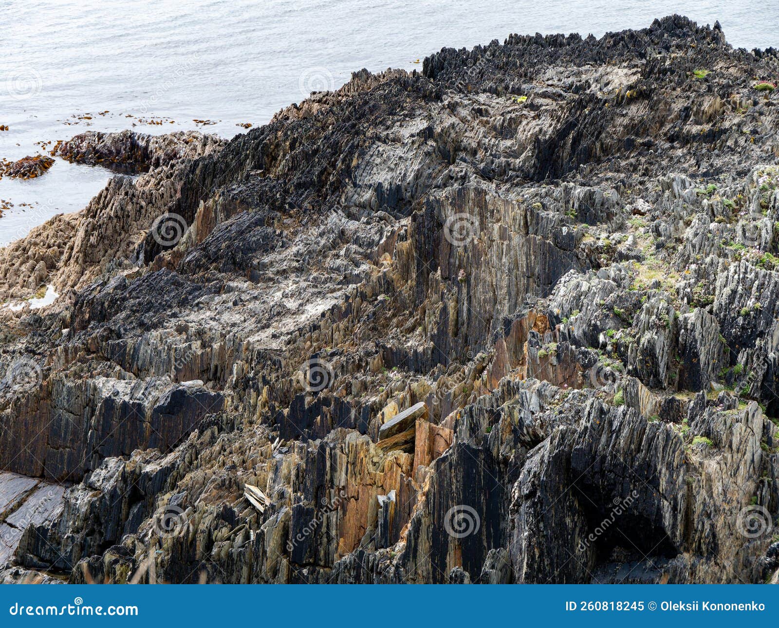Exposed Rocks on the Shore. Seaside in Sunny Weather Stock Image ...