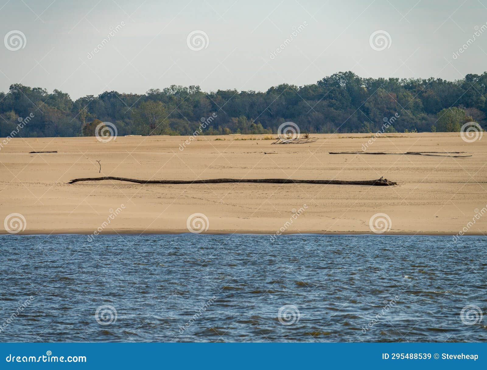 Exposed Tree Trunks on Sand Banks of Mississippi River in October 2023 ...