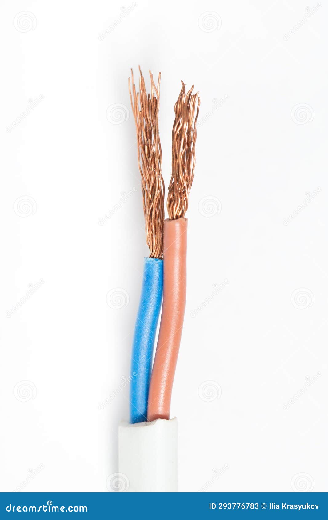 Exposed Wires Close-up on a White Background. Stock Image - Image of ...