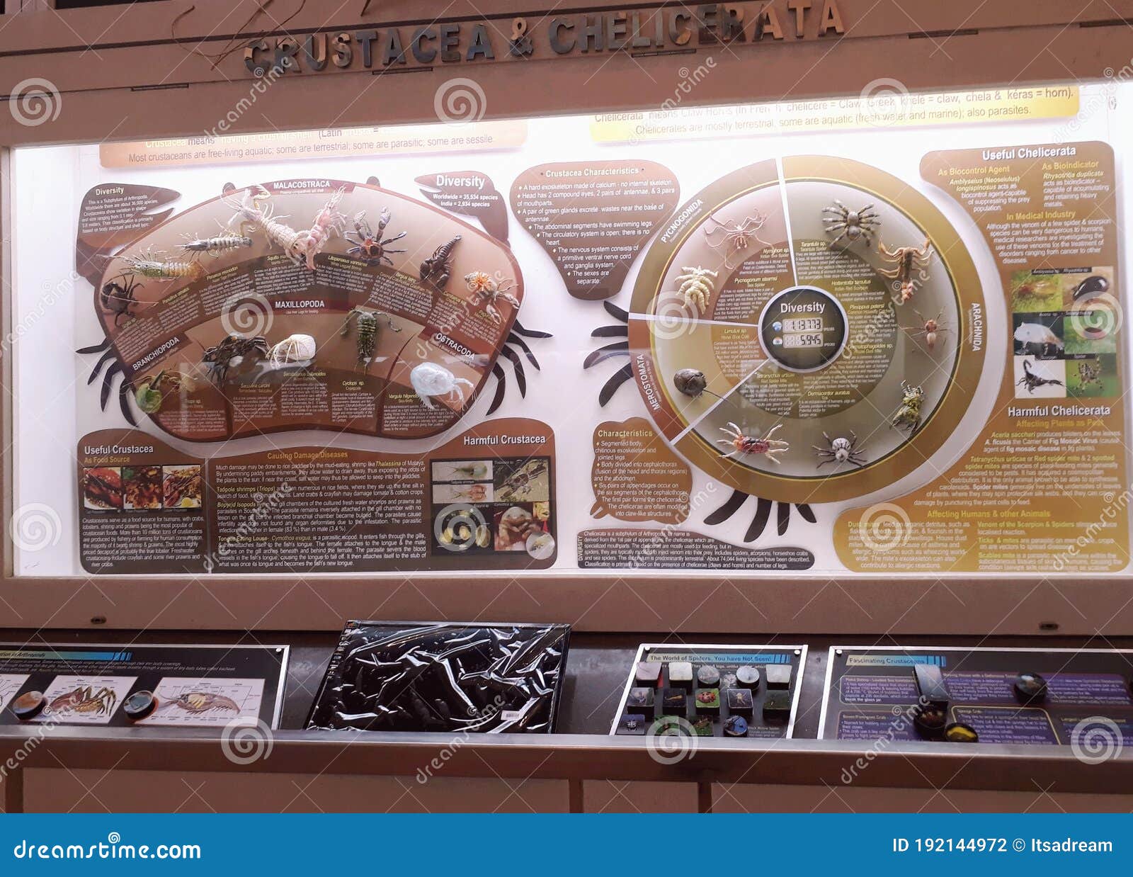 Exposiciones En El Museo Indio De Kolkata Fotografía editorial - Imagen ...