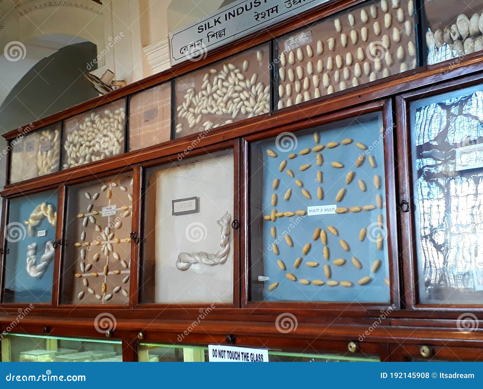 Exposiciones En El Museo Indio De Kolkata Foto de archivo editorial ...