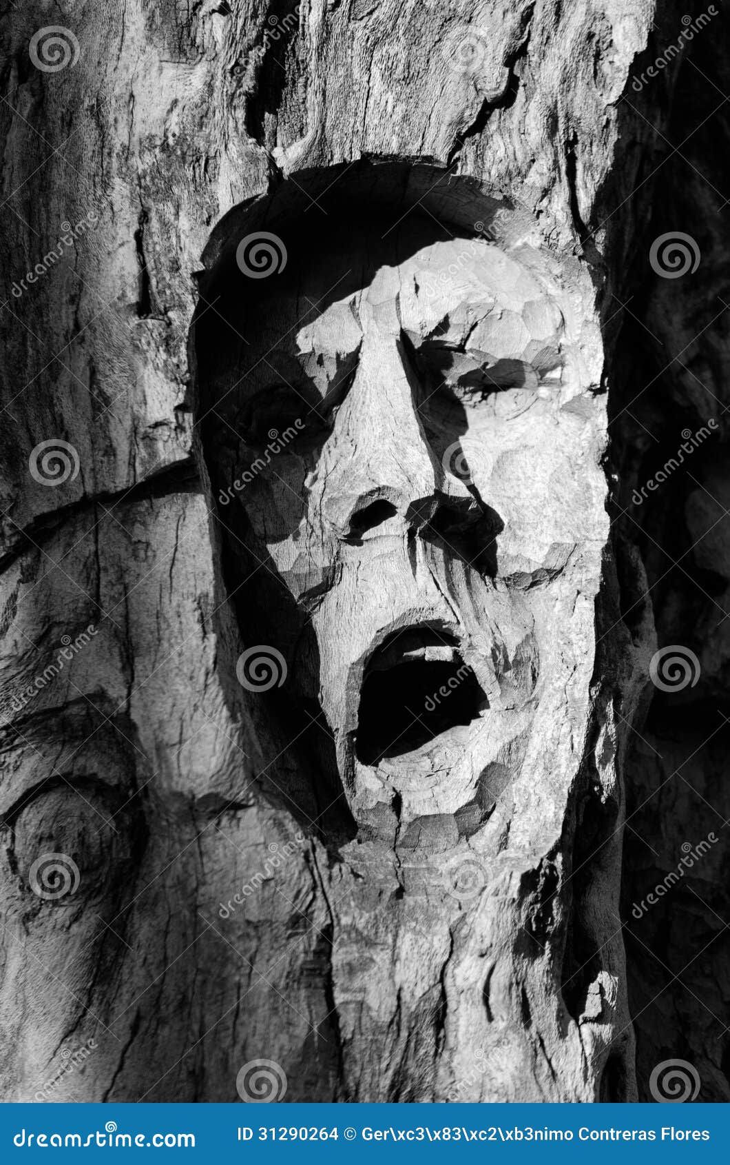Expresive Face Carved Into The Bark Of A Tree Royalty-Free Stock Photo ...