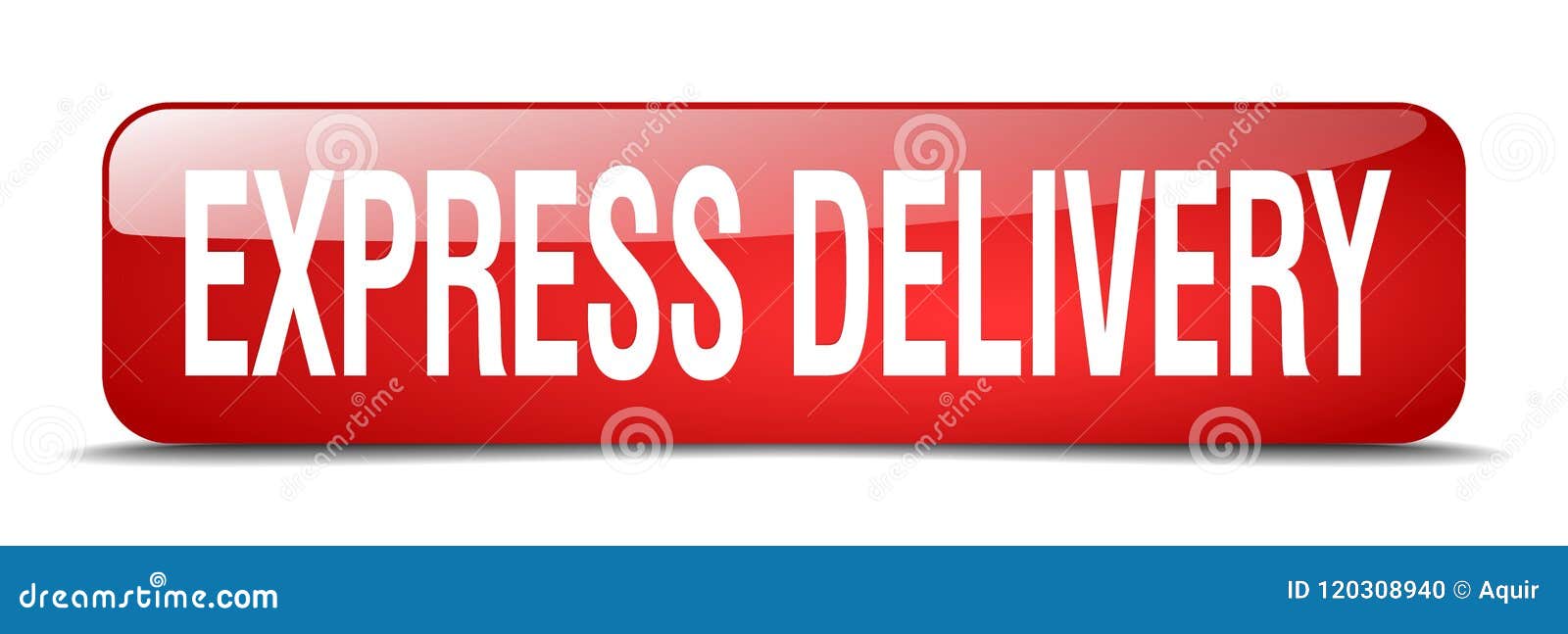 Express delivery button stock vector. Illustration of note - 120308940