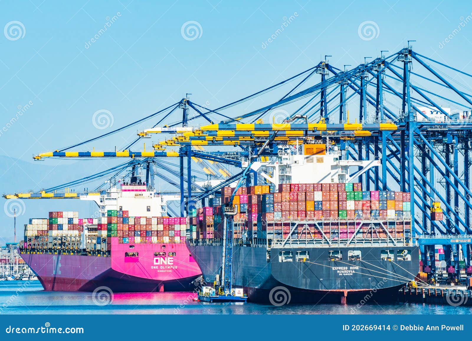 Express Rome and One Olympus Container Cargo Ships Editorial Stock ...