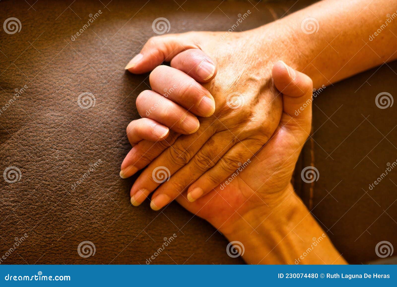 Expression of Affection and Company Stock Photo - Image of health ...