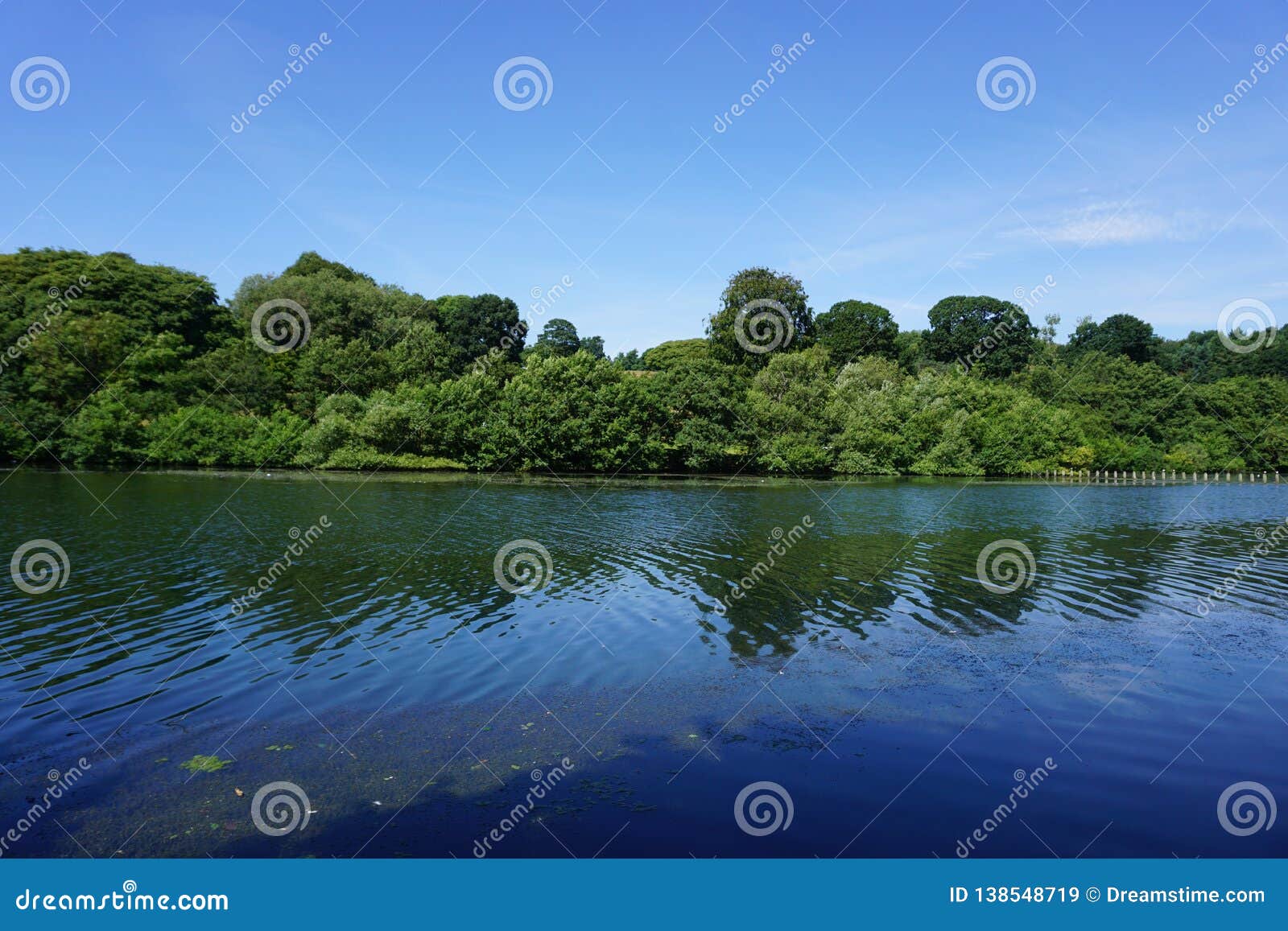 The Summertime Expressions of Nature. Stock Image - Image of display ...