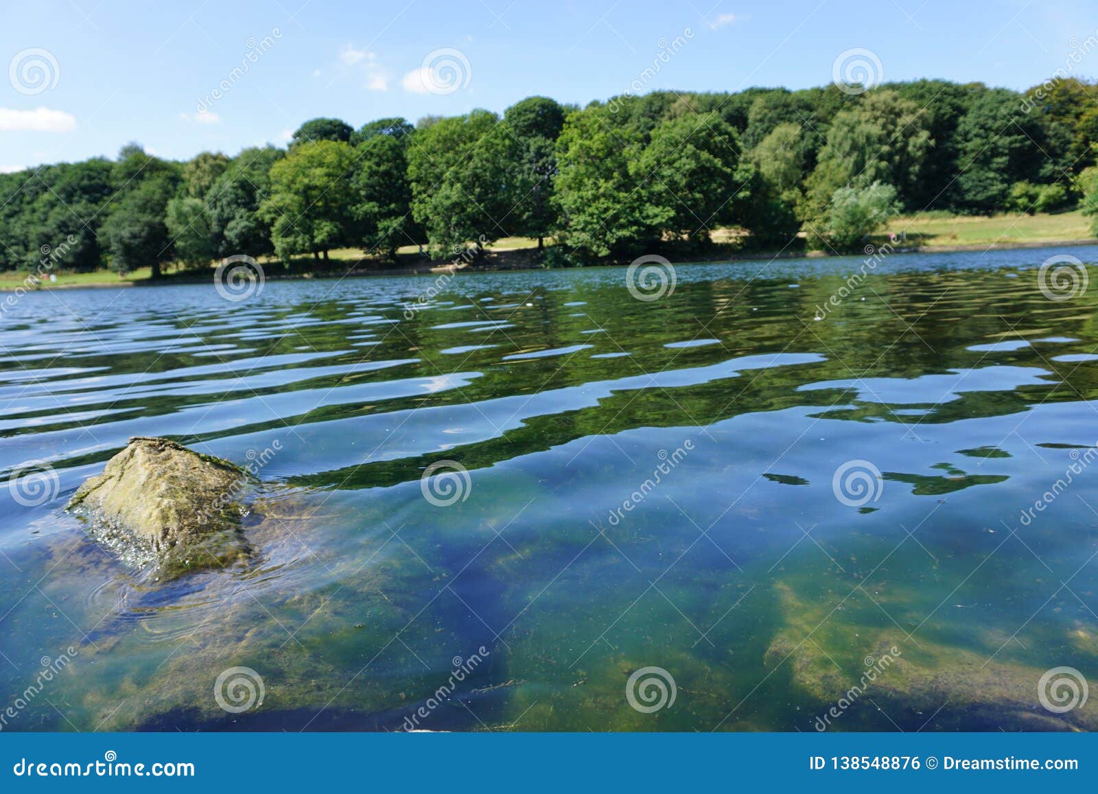 The Summertime Expressions of Nature. Stock Photo - Image of expression ...