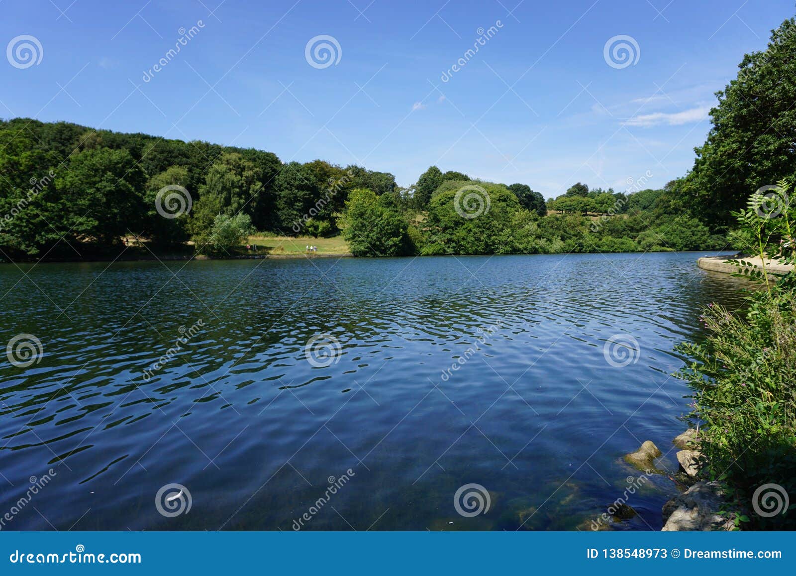 The Summertime Expressions of Nature. Stock Image - Image of ...