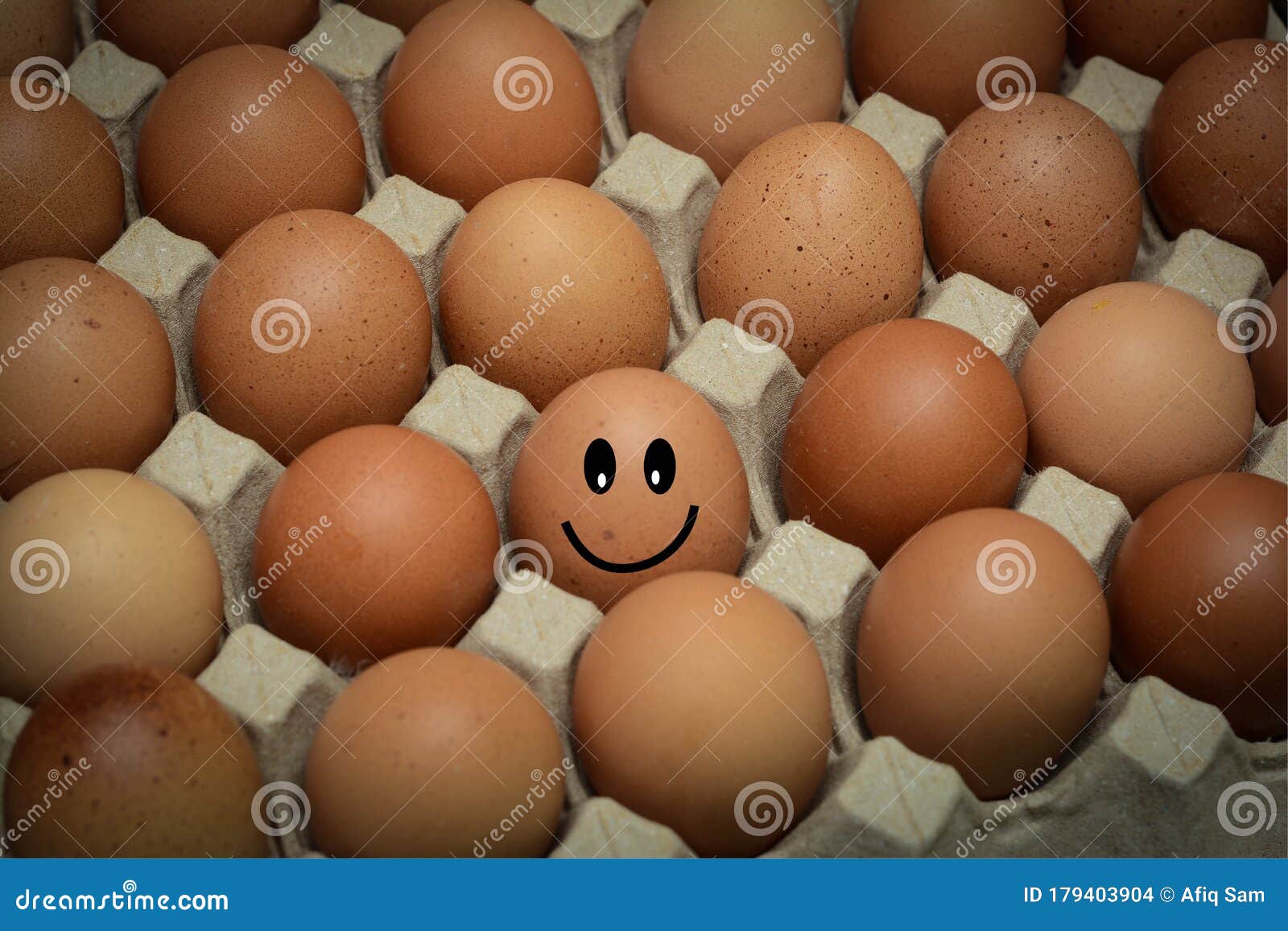 Smileys egg concept stock photo. Image of expression - 179403904