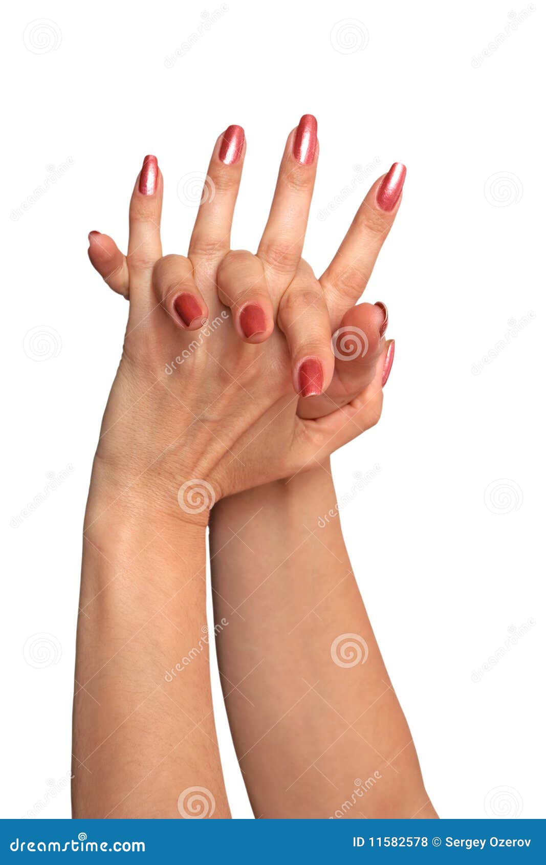 Expressive hands stock photo. Image of fingernail, fingers - 11582578