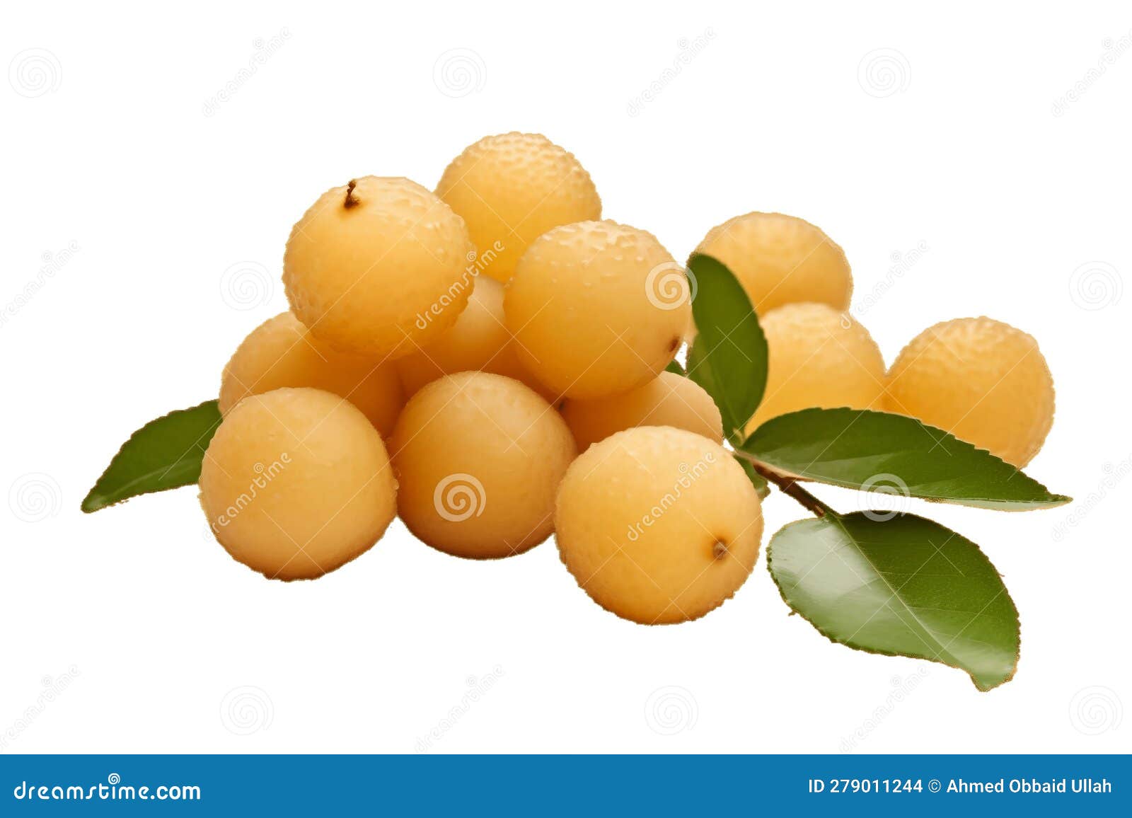 Exquisite Fruit Illustration. Vibrant And Realistic Fruits In Detailed ...