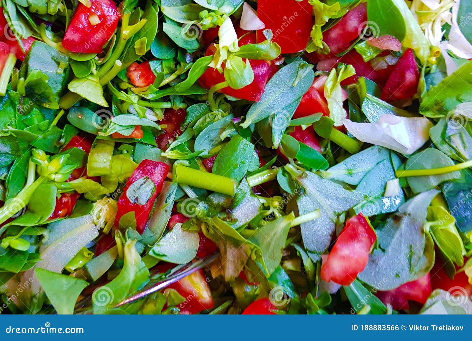 Exquisite Salad is a Horizontal Top View from the Top of a Large Plan ...