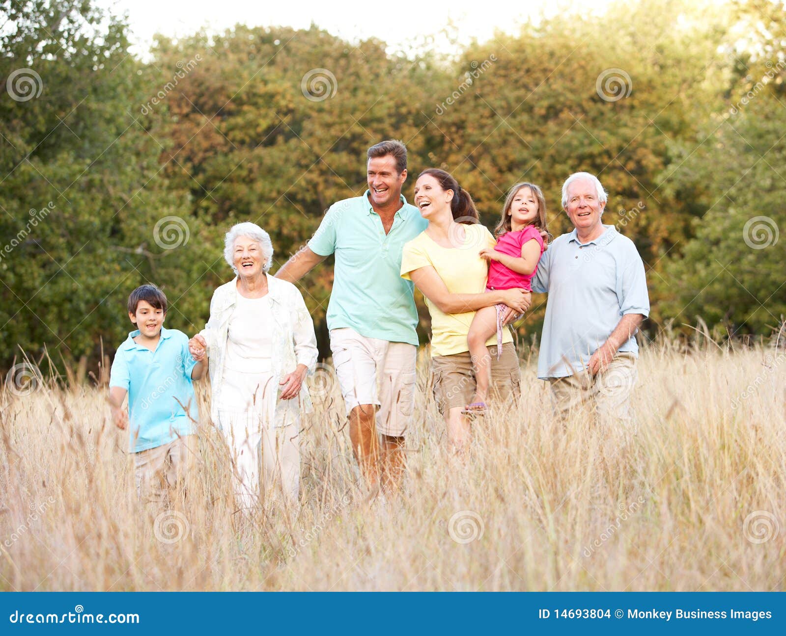 Extended Family Group in Park Stock Photo - Image of park, caucasian ...