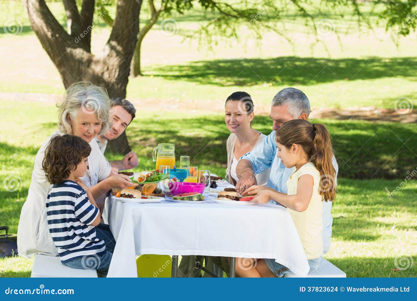 Extended Family Having Lunch in Lawn Stock Photo - Image of lifestyle ...
