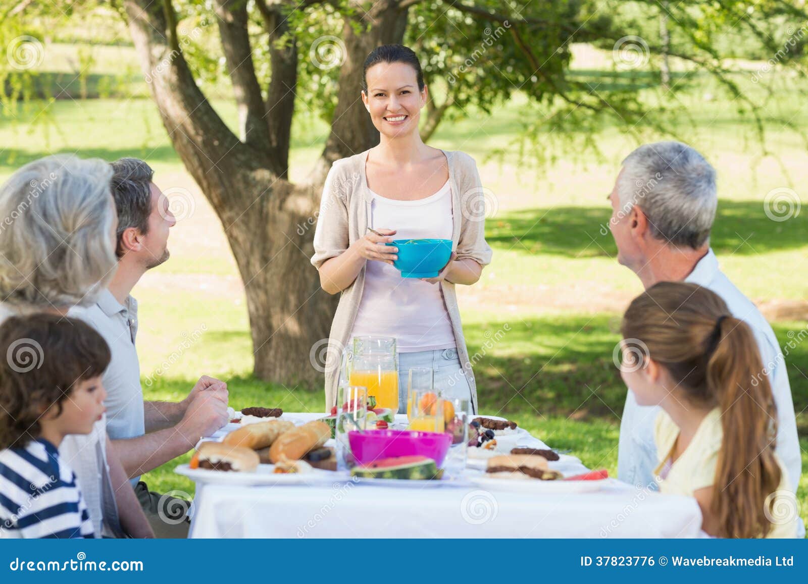Extended Family Having Lunch in Lawn Stock Photo - Image of senior ...
