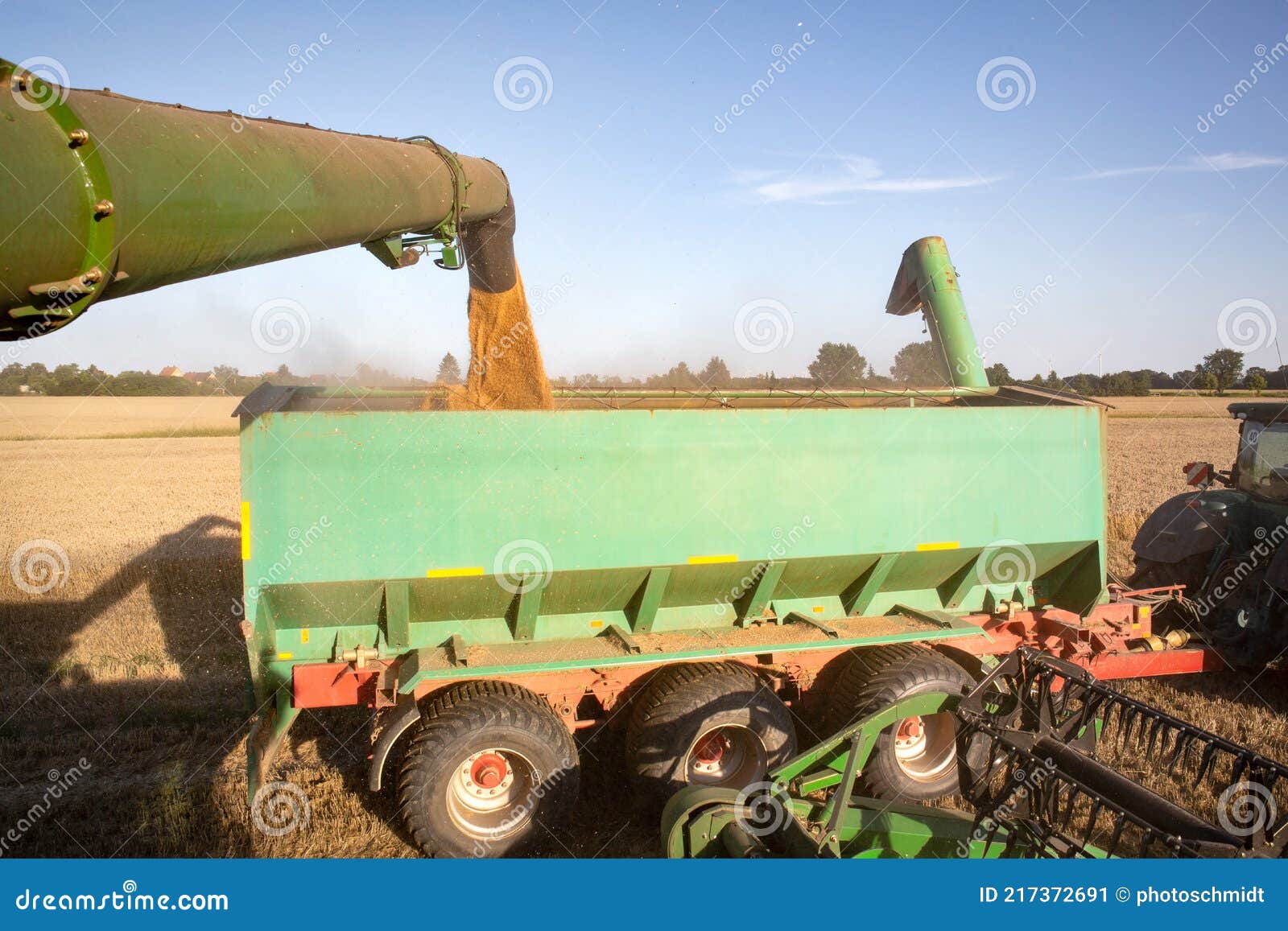 Combine Unloading Wheat into a Grain Cart Stock Image - Image of pipe ...