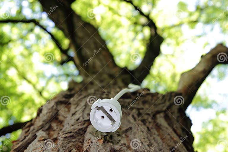 Extension Cord on a Tree for Renewable Energy Stock Photo - Image of ...