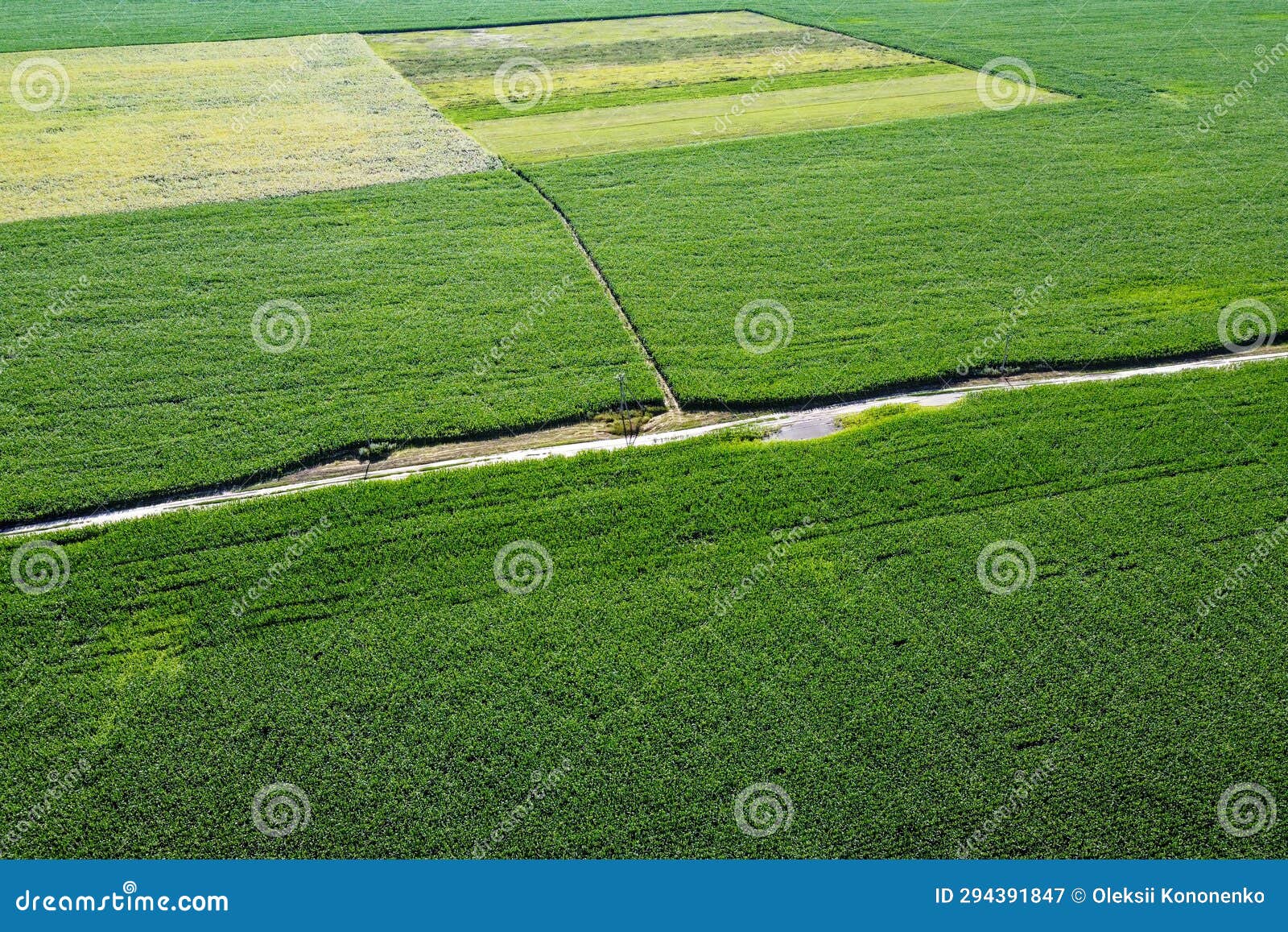 Extensive Corn Fields, Top View. Green Farm Fields, Landscape Stock ...