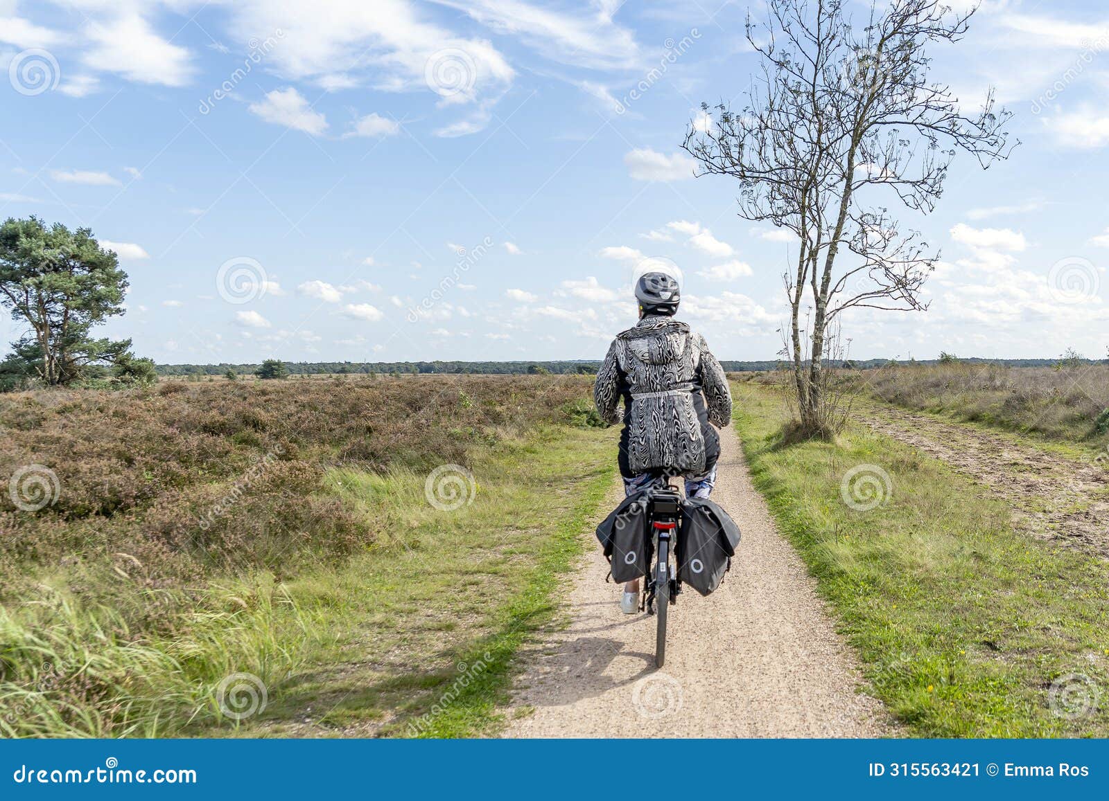 Extensive Cycle Paths through the Beautiful Heathlands Near Putten ...