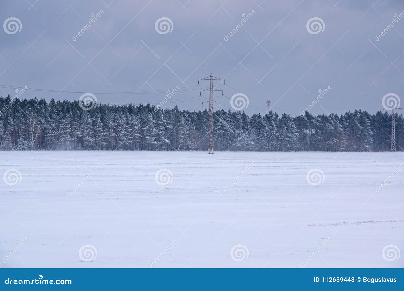 Snowstorm in the field. stock photo. Image of flat, forest - 112689448