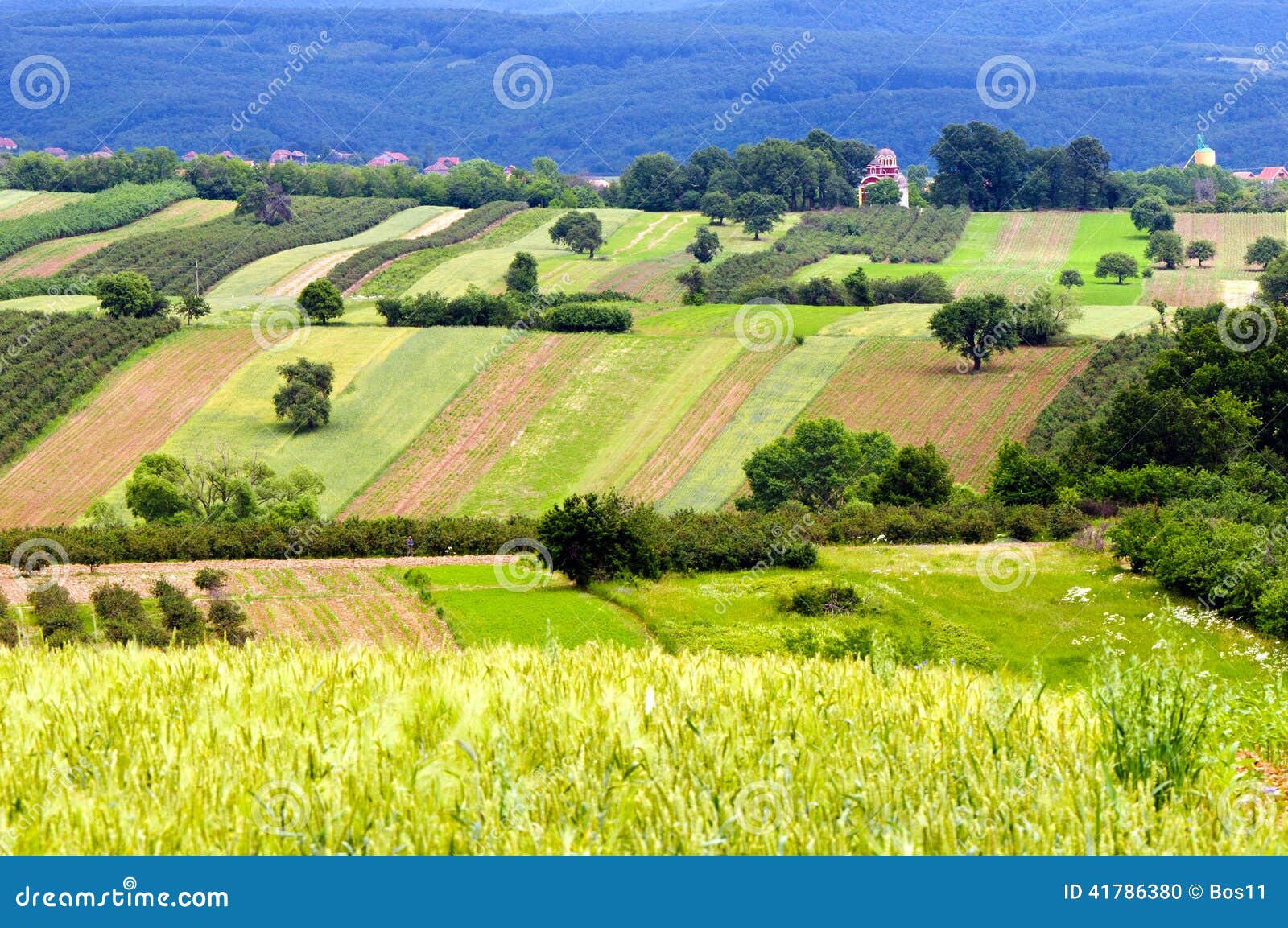 Extensive rural landscape stock photo. Image of hill - 41786380