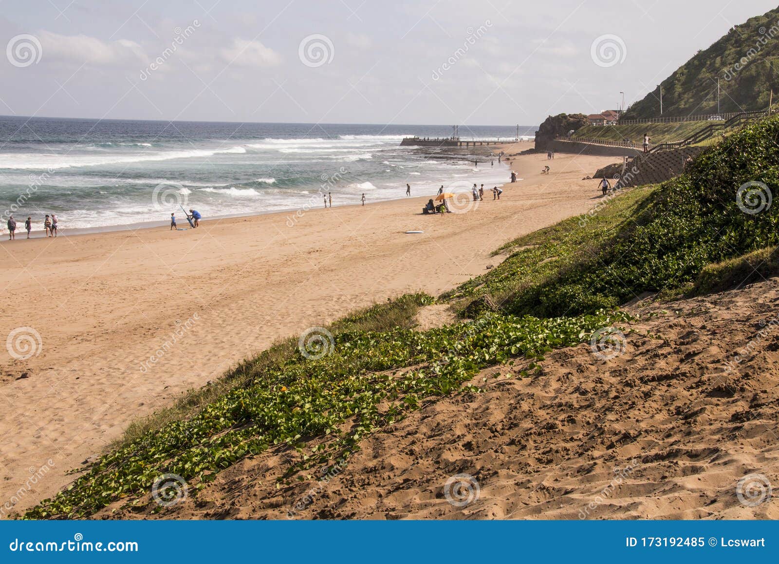 Extensive Stretch of Beach Sand with Sunbathers Stock Image - Image of ...